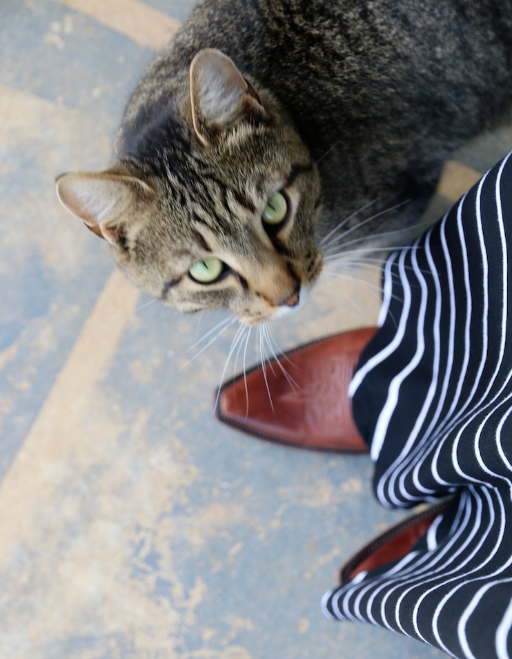 Remembering Boaz + A Different Kind of Miracle » Bravehearted Beauty